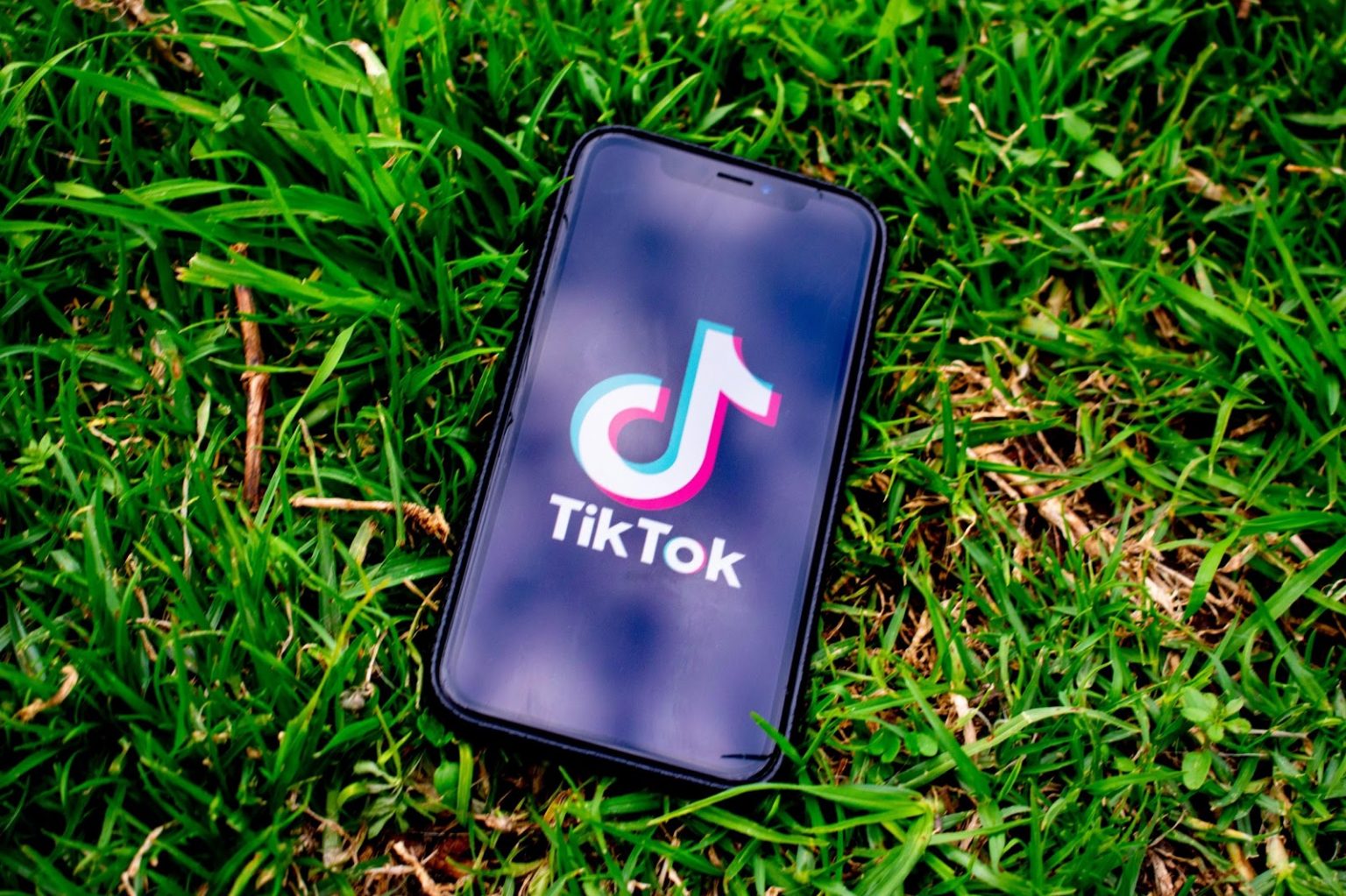 The Tik Tok Marketing Strategy Your Business Needs - Evolution Digital